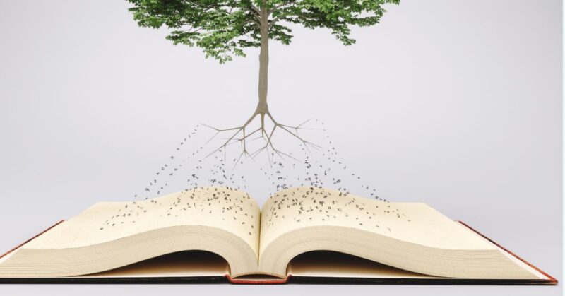 The Secrets Of The Gift Of Wisdom - The Principles Of Every Day Living